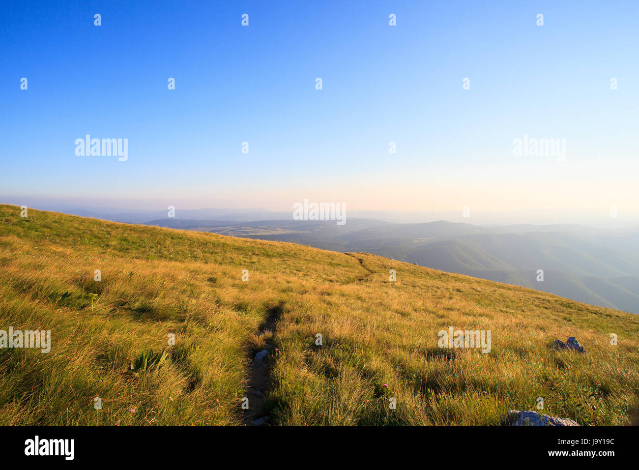 ground, soil, earth, humus, field, hoeing, mountain, meadow, grass ...