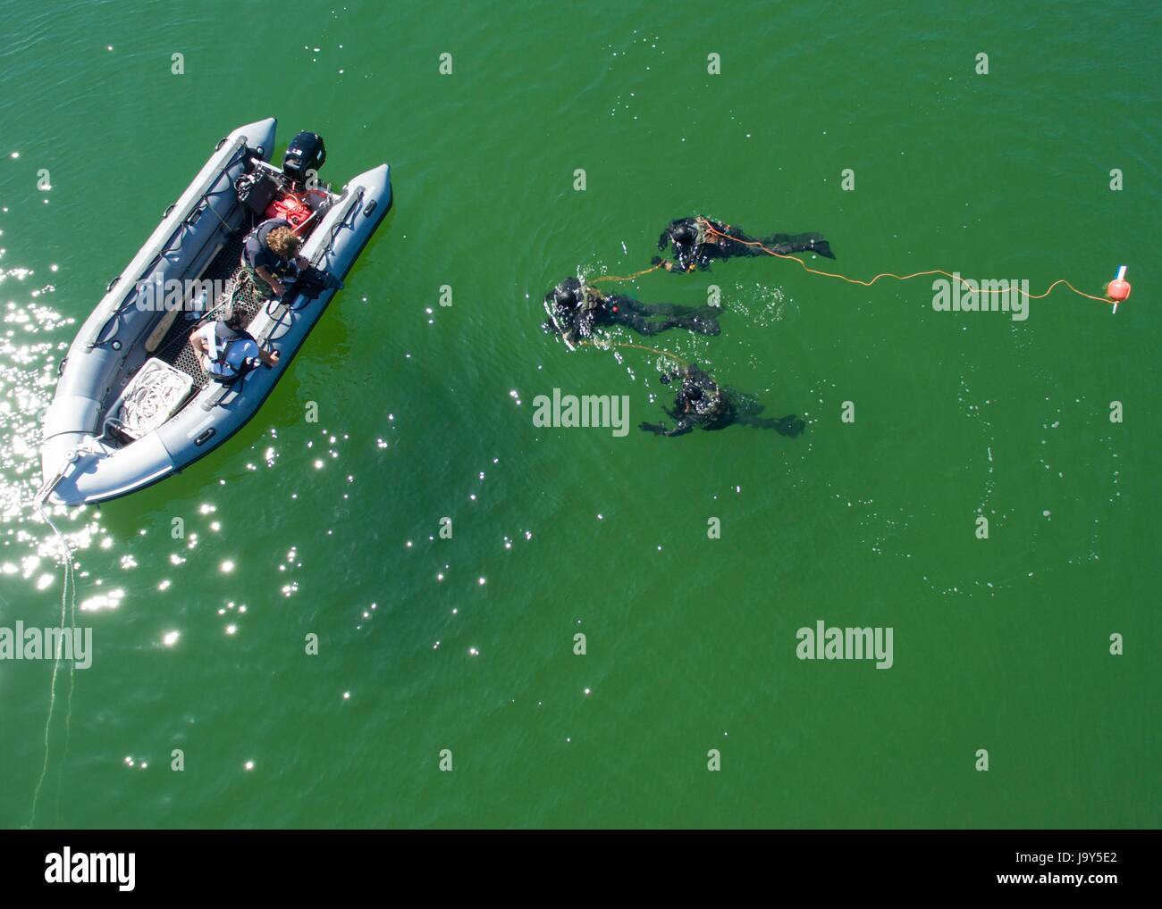Baltic sea diving hi-res stock photography and images - Alamy