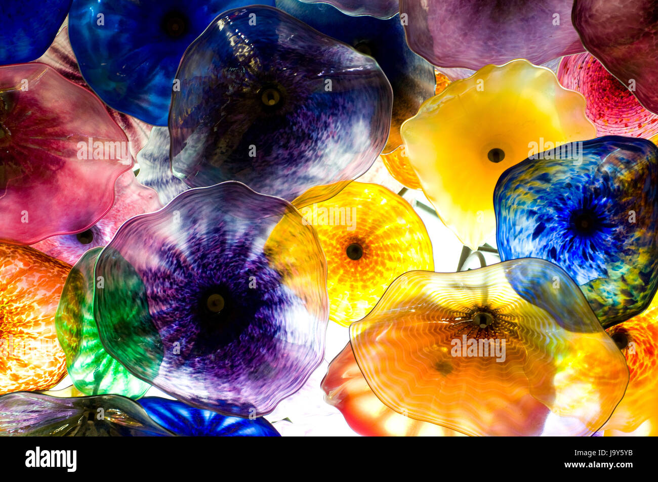 colour, coloured, colourful, gorgeous, multifarious, richly coloured ...