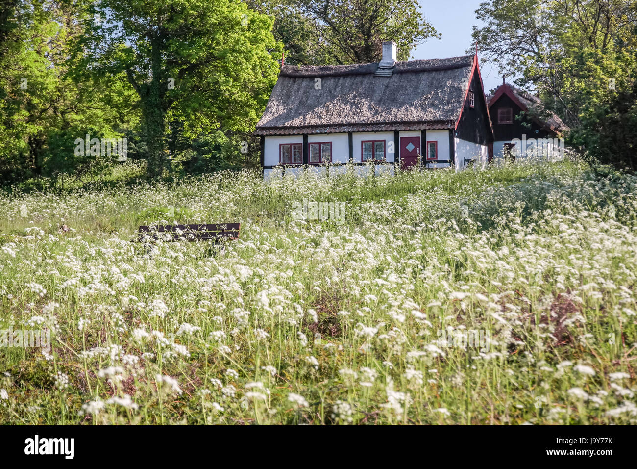 idyllic house with spring meadow Stock Photo - Alamy