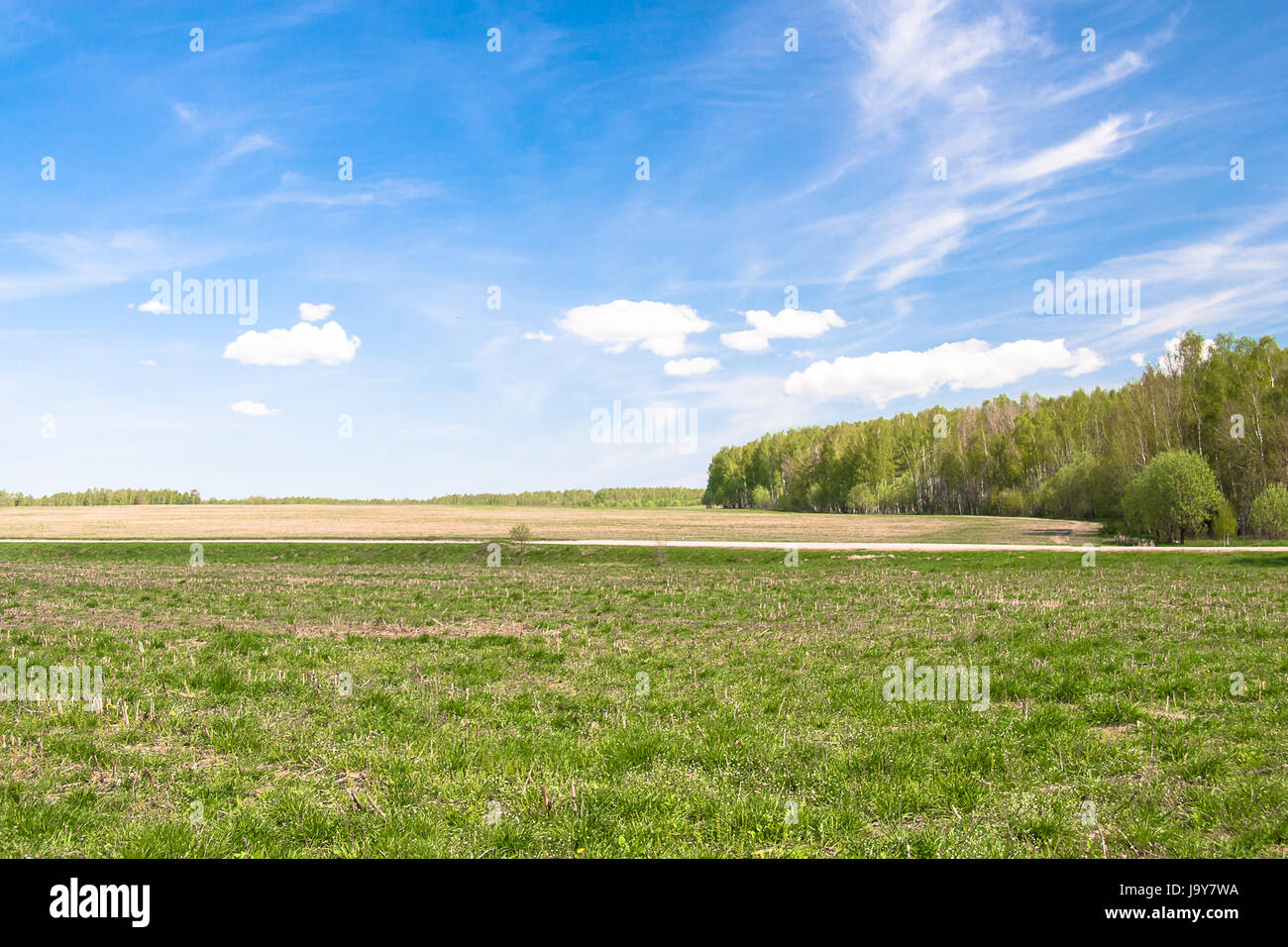 blue, environment, enviroment, colour, tree, trees, hill, horizon ...