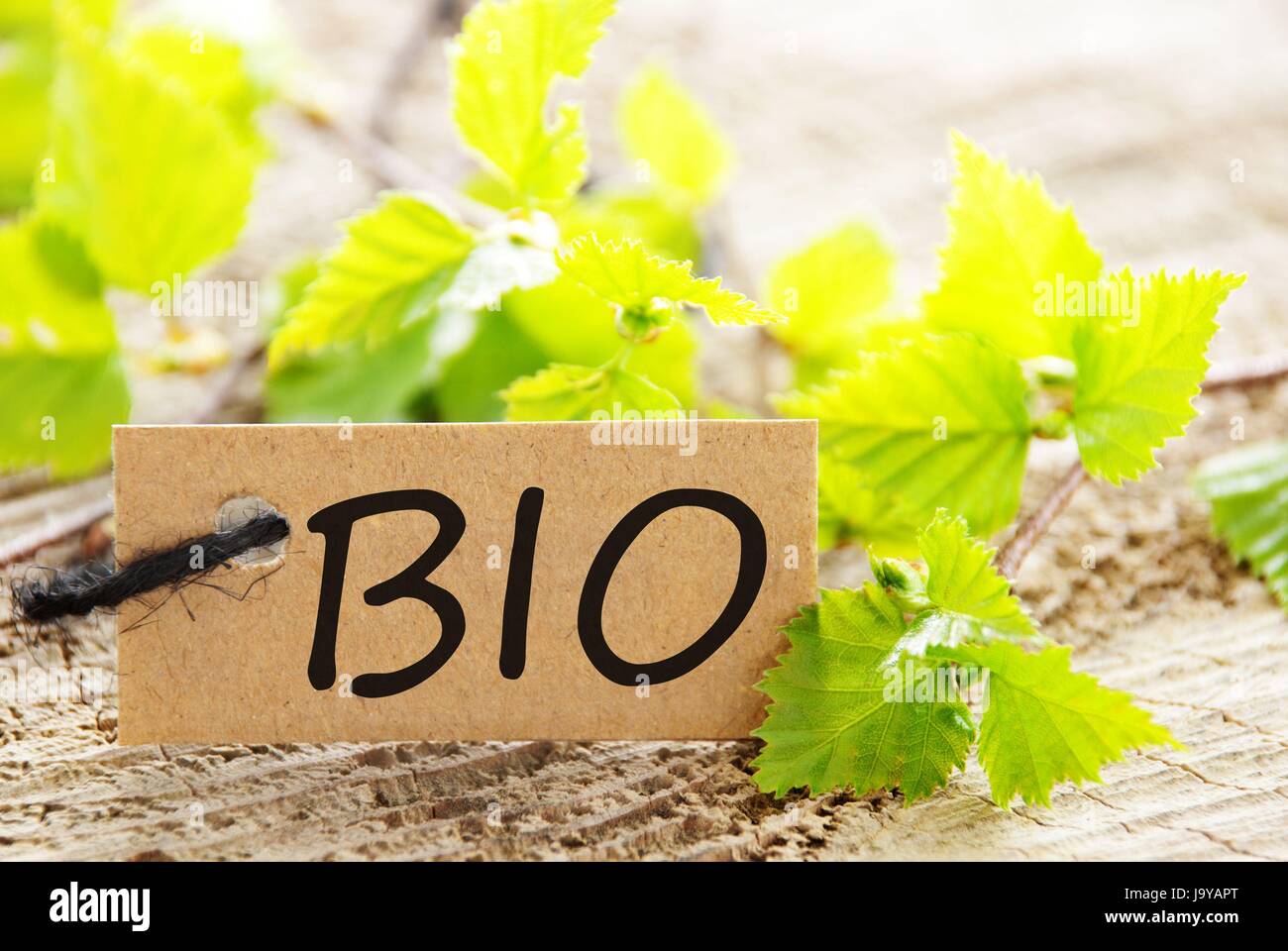 a natural looking label with green leaves and BIO written on it and ...