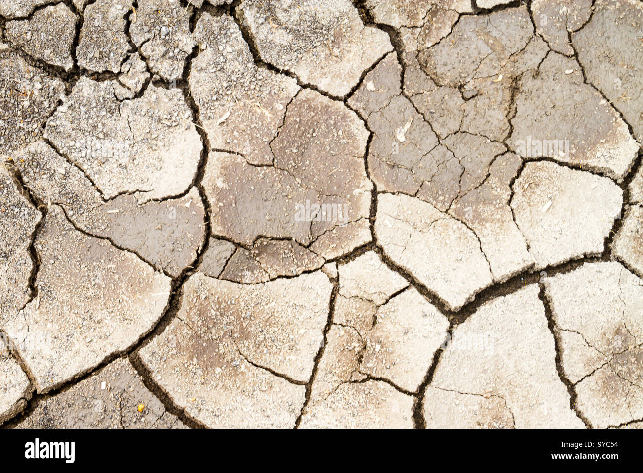 land with dry and cracked ground,cracks in the ground background Stock ...