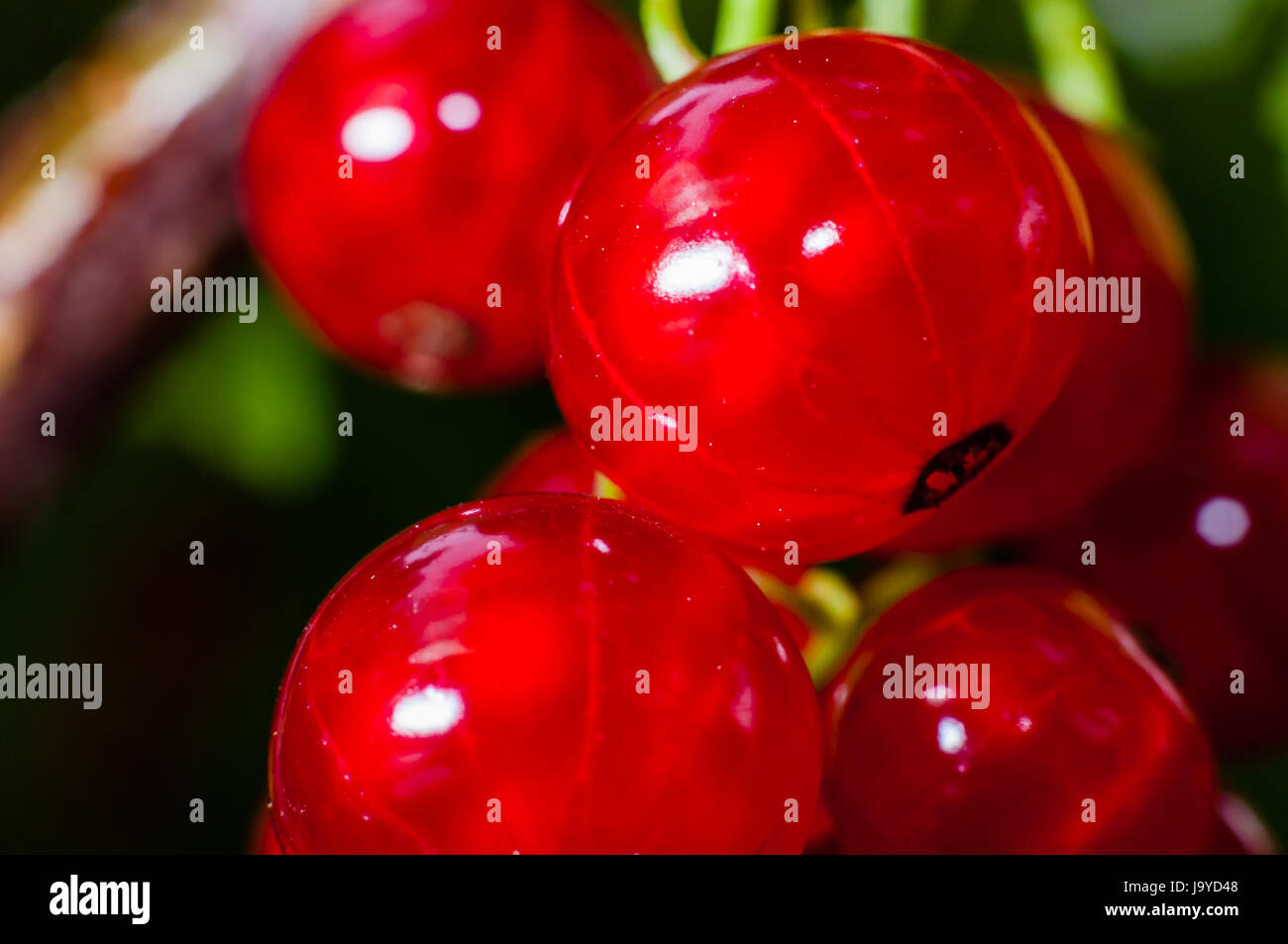 John berry hi-res stock photography and images - Alamy