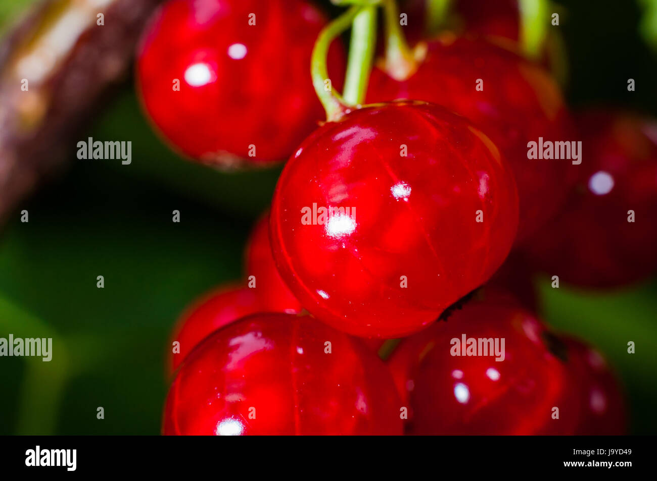 John berry hi-res stock photography and images - Alamy