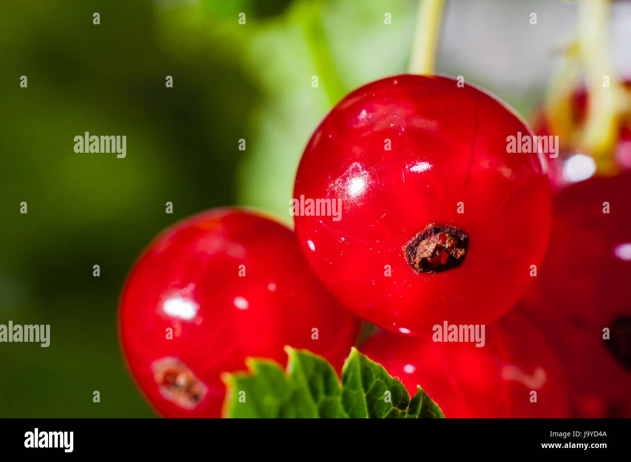 John berry hi-res stock photography and images - Alamy