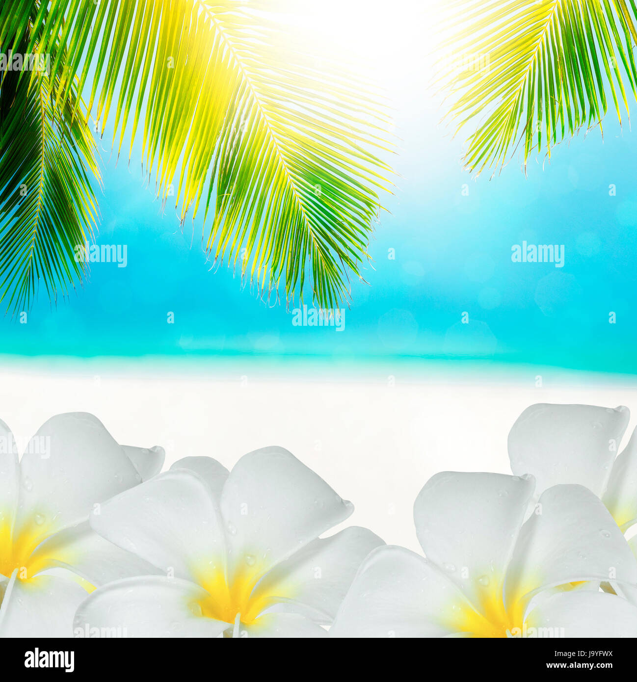 blue, bloom, blossom, flourish, flourishing, cloud, beach, seaside, the ...