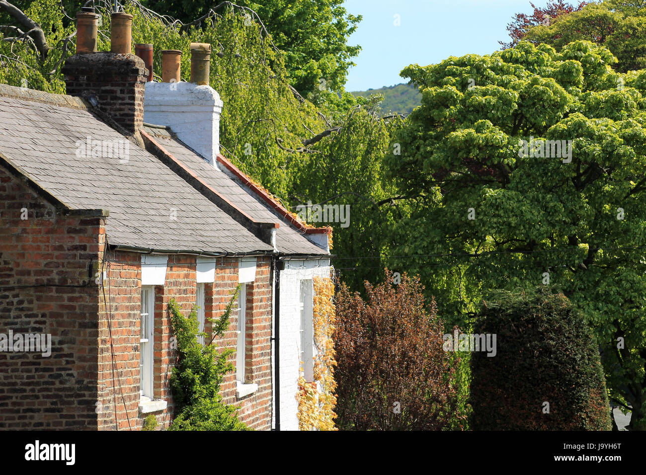 house, building, architectural, tree, trees, leaves, england, facade ...