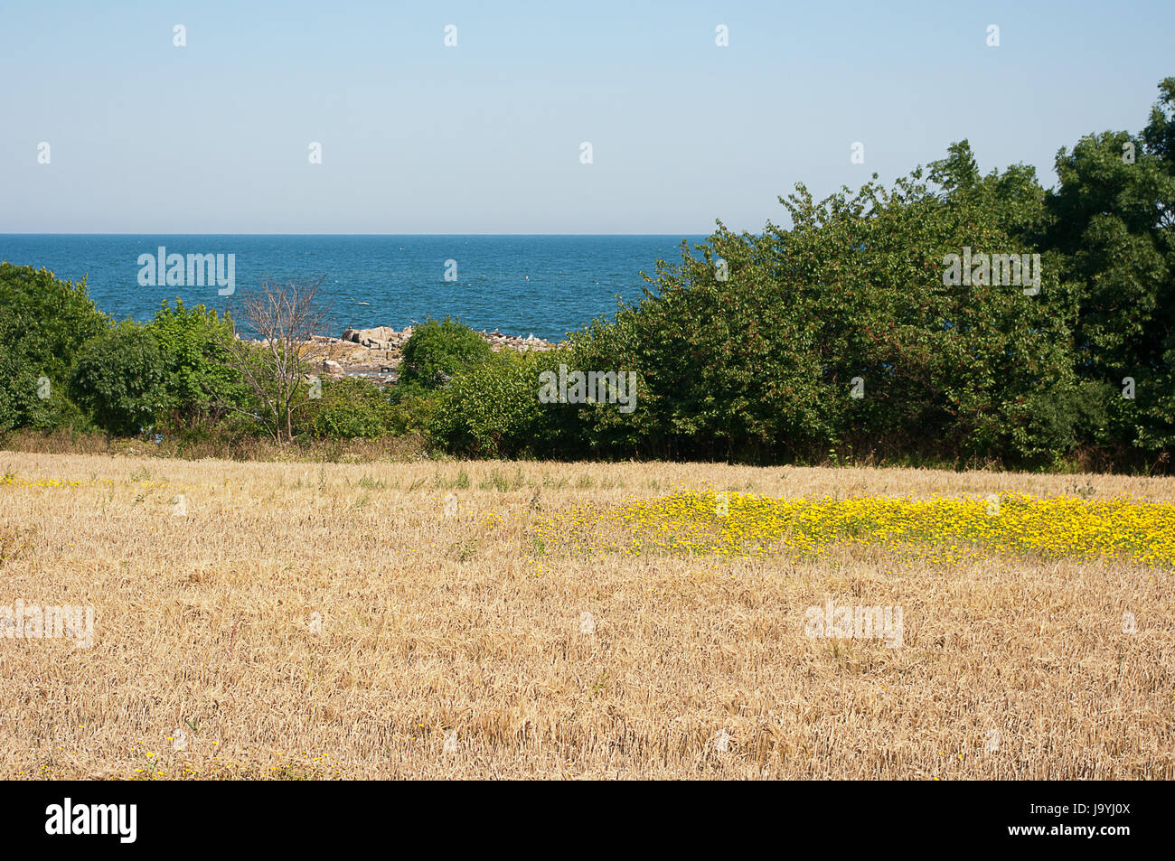 landscape by the sea Stock Photo - Alamy
