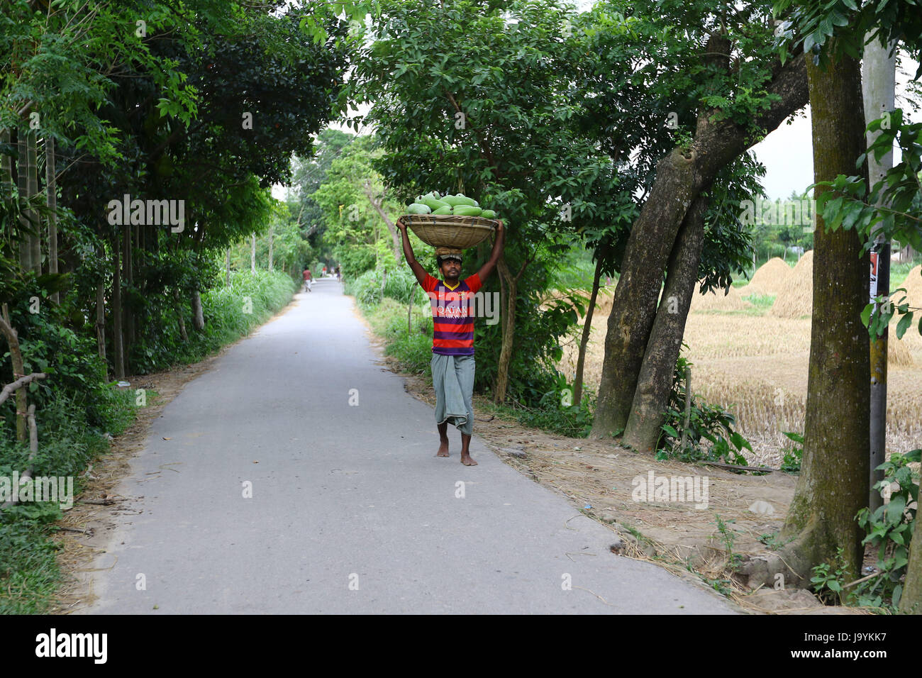 Farmer carry baskets on head of vegetable in Dhaka Stock Photo - Alamy