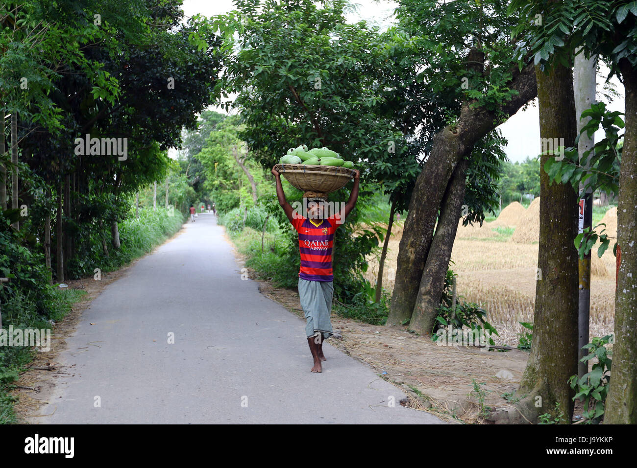 Farmer carry baskets on head of vegetable in Dhaka Stock Photo - Alamy