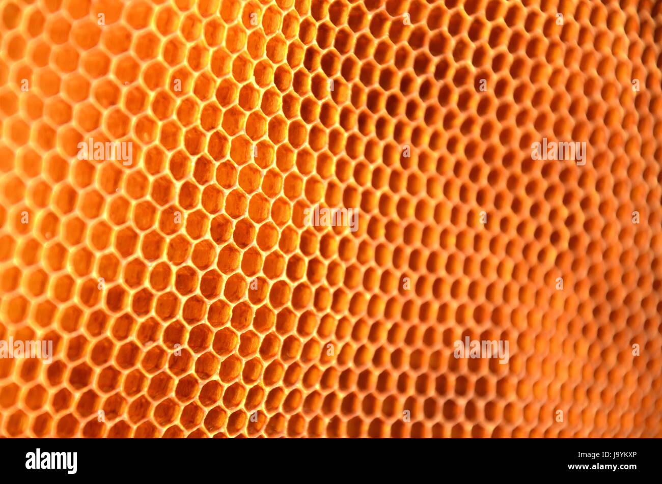 apiary, cell, honeycomb, hexagonal, backdrop, background, insect, bee ...