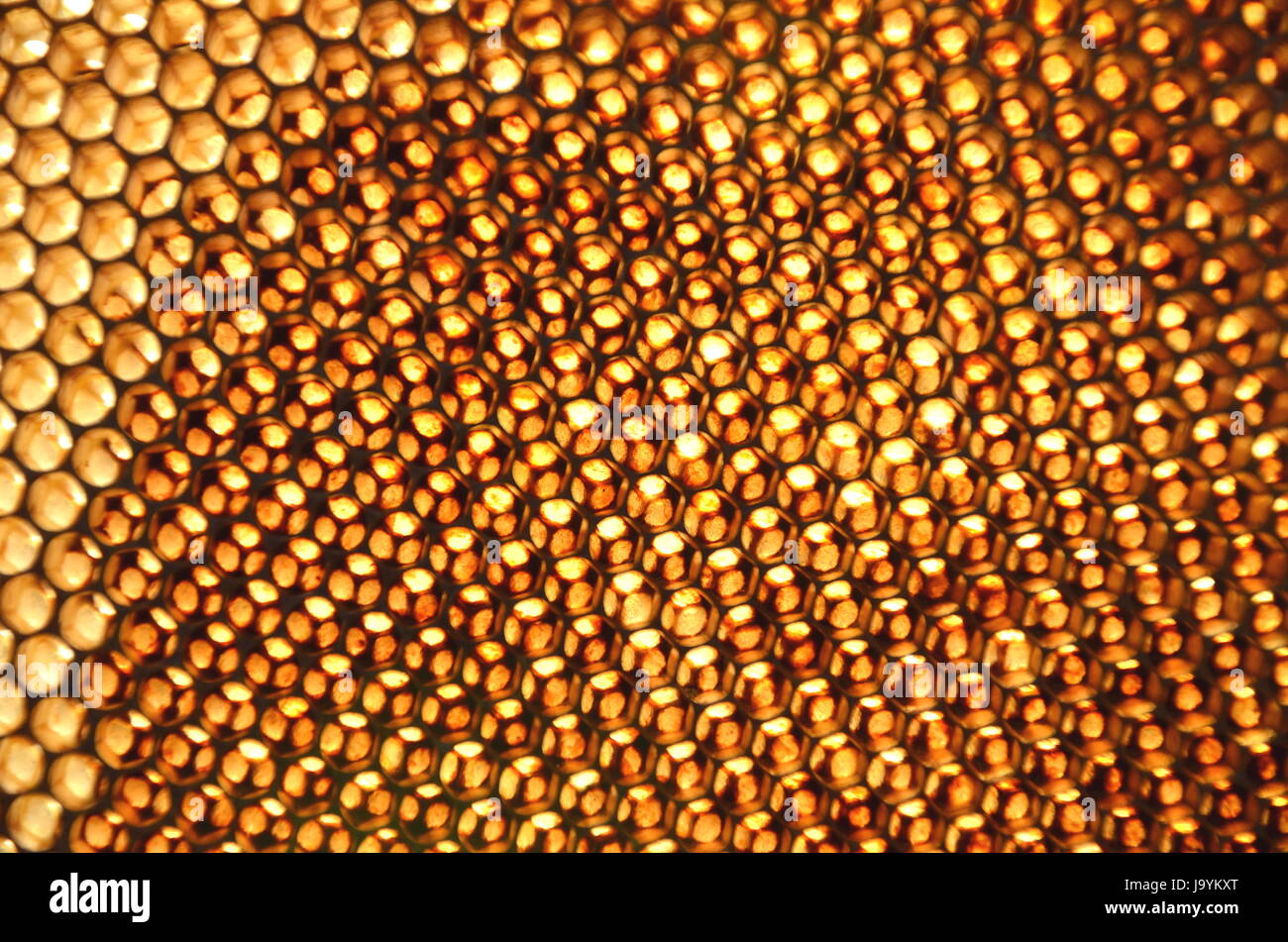 apiary, cell, honeycomb, hexagonal, backdrop, background, insect, bee ...