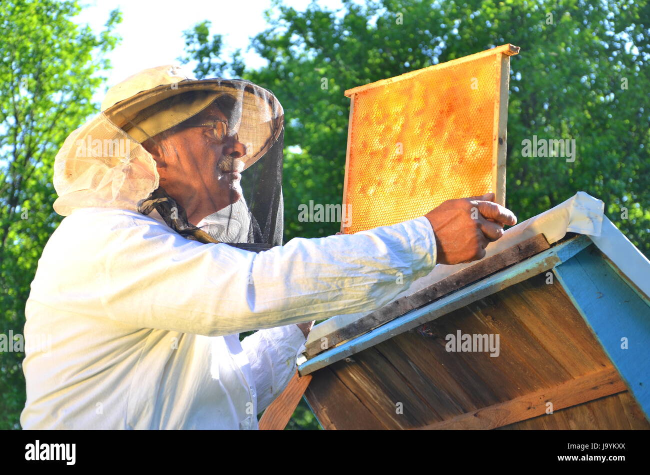 person, spring, bouncing, bounces, hop, skipping, frisks, jumping, jump ...