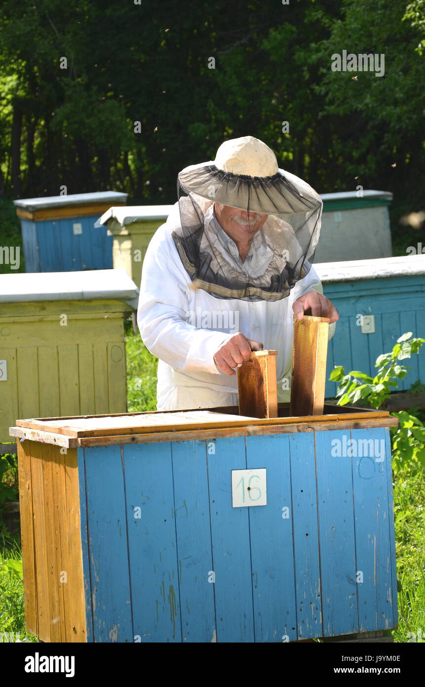 person, spring, bouncing, bounces, hop, skipping, frisks, jumping, jump ...