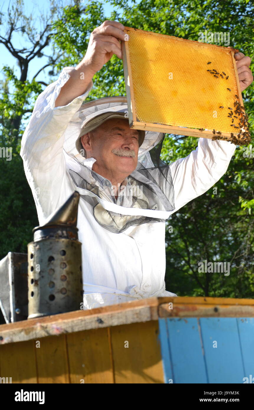 person, spring, bouncing, bounces, hop, skipping, frisks, jumping, jump ...