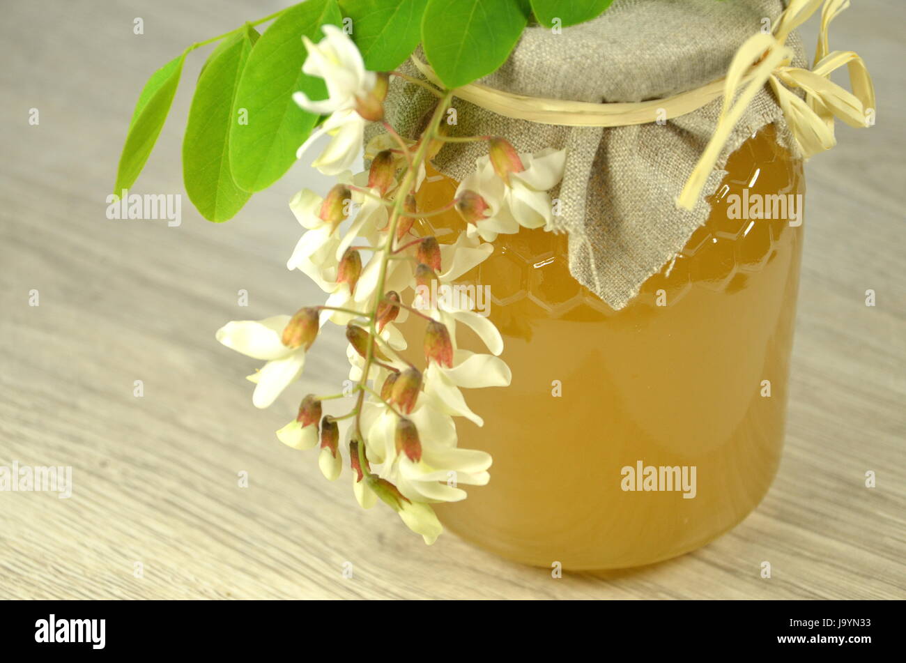 sweet, flower, plant, apiary, acacia, honey, insect, bee, glass ...