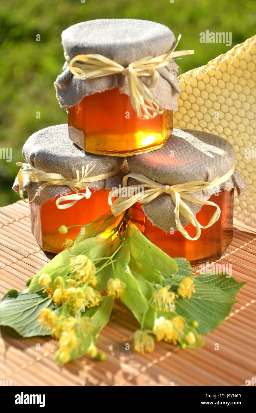 flower, flowers, plant, apiary, honeycomb, honey, insect, bee, glass ...