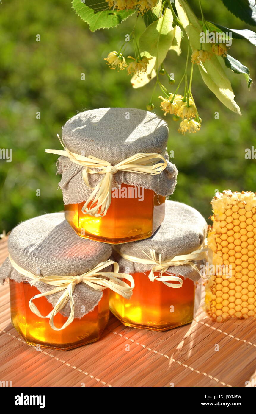flower, flowers, plant, apiary, honeycomb, honey, insect, bee, glass ...