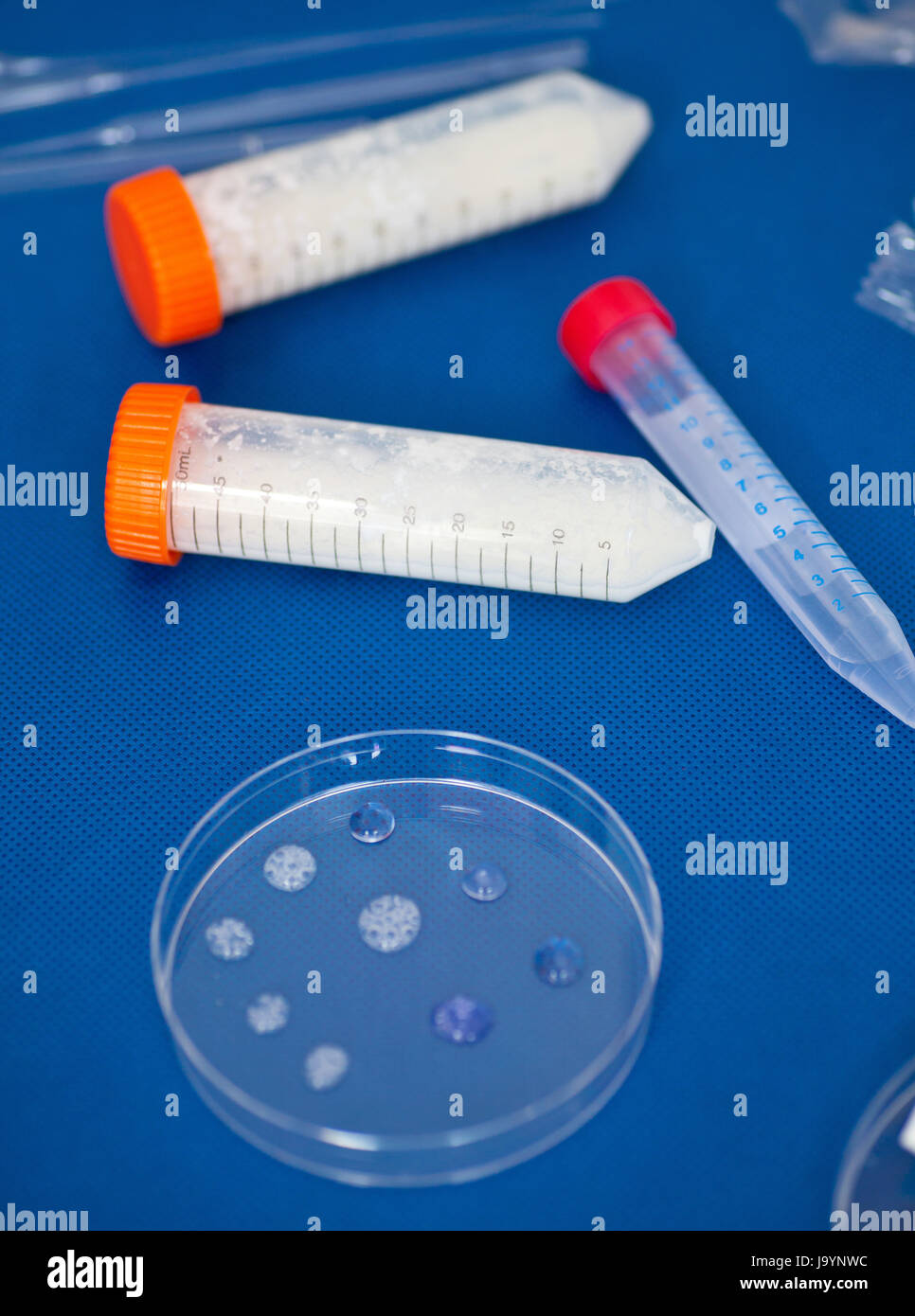 science, laboratory, biology, test tubes, scientific, paper, academic ...