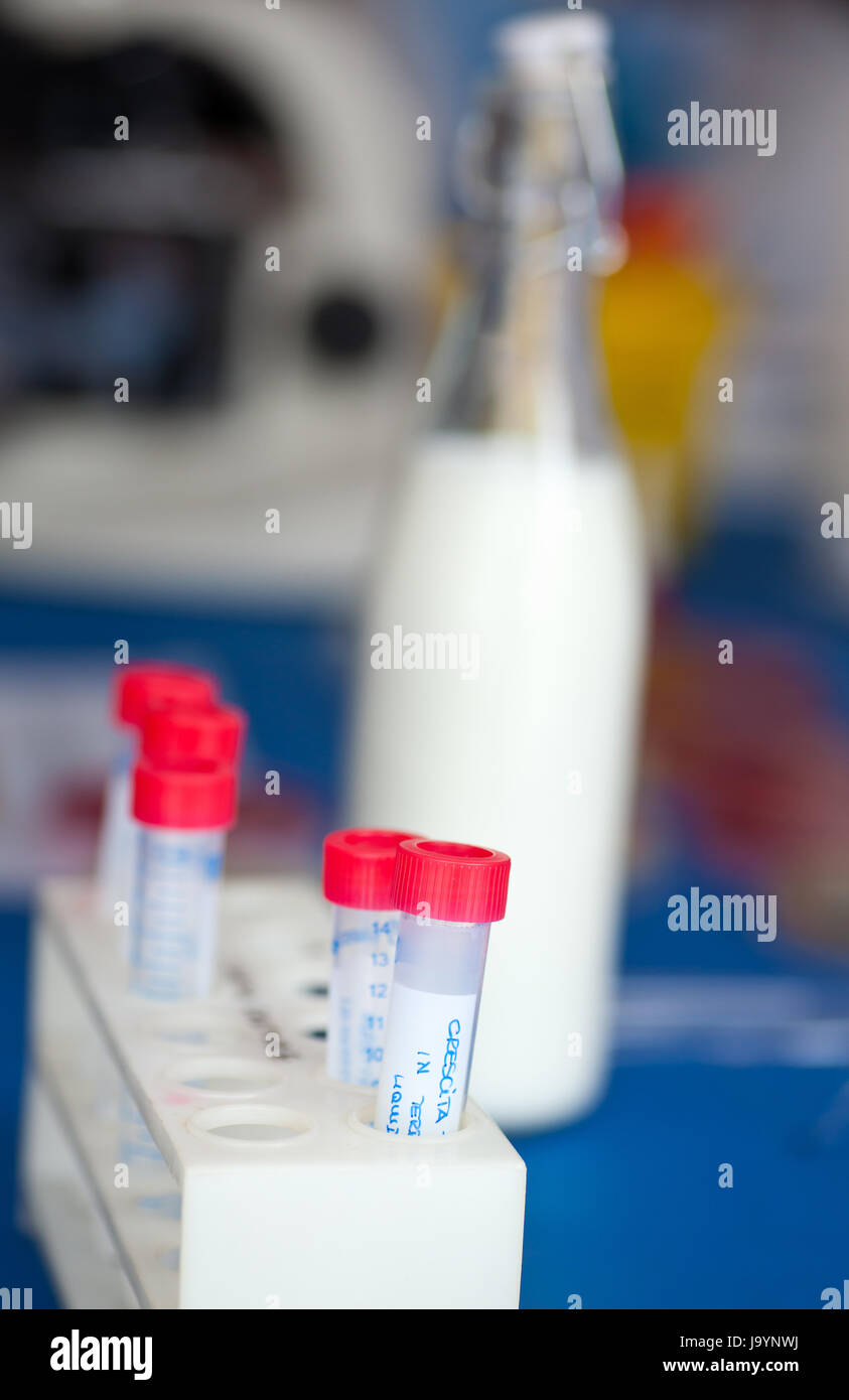 science, laboratory, biology, test tubes, scientific, paper, academic ...