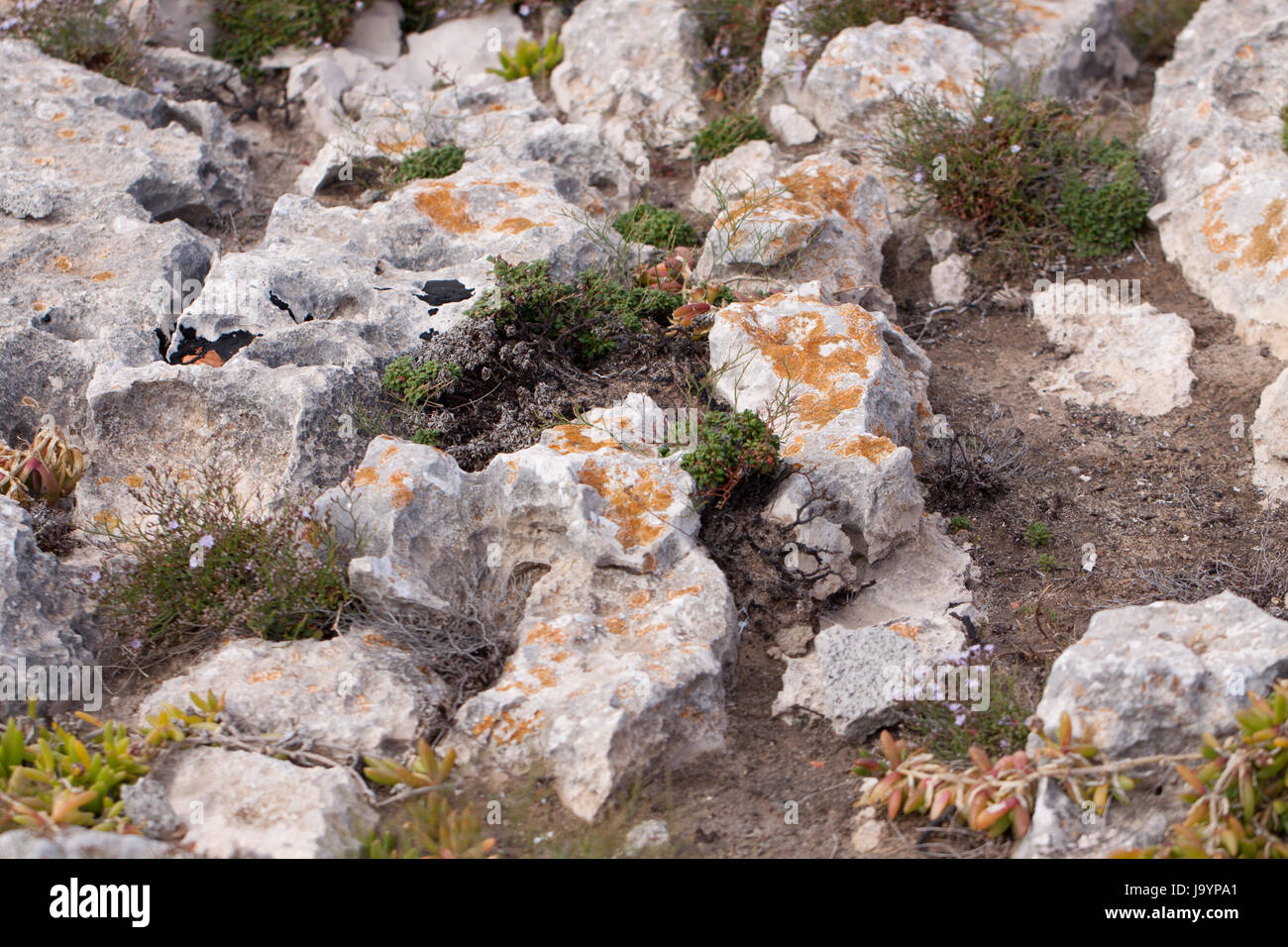 natural material background texture Stock Photo - Alamy
