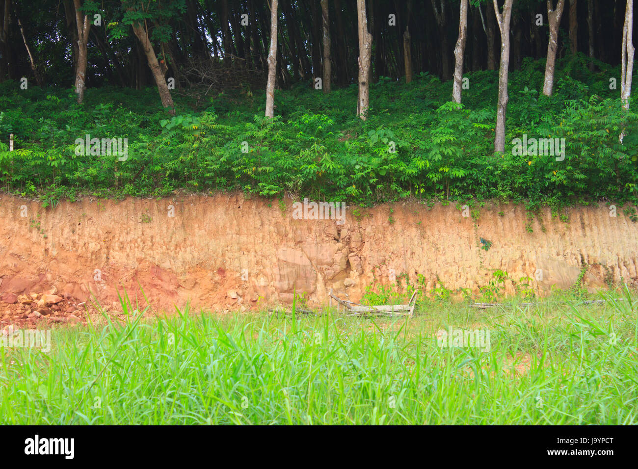 ground, soil, earth, humus, brown, brownish, brunette, rocks, travel ...