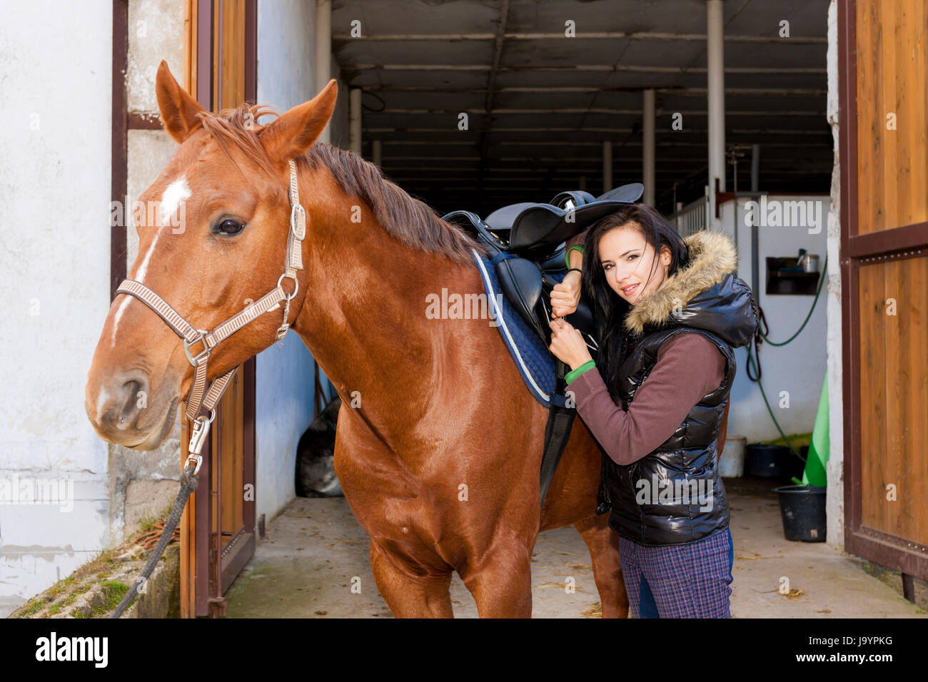 woman, horse, riding, rider, equestrian, horseriding, woman, humans, human Stock Photo - Alamy