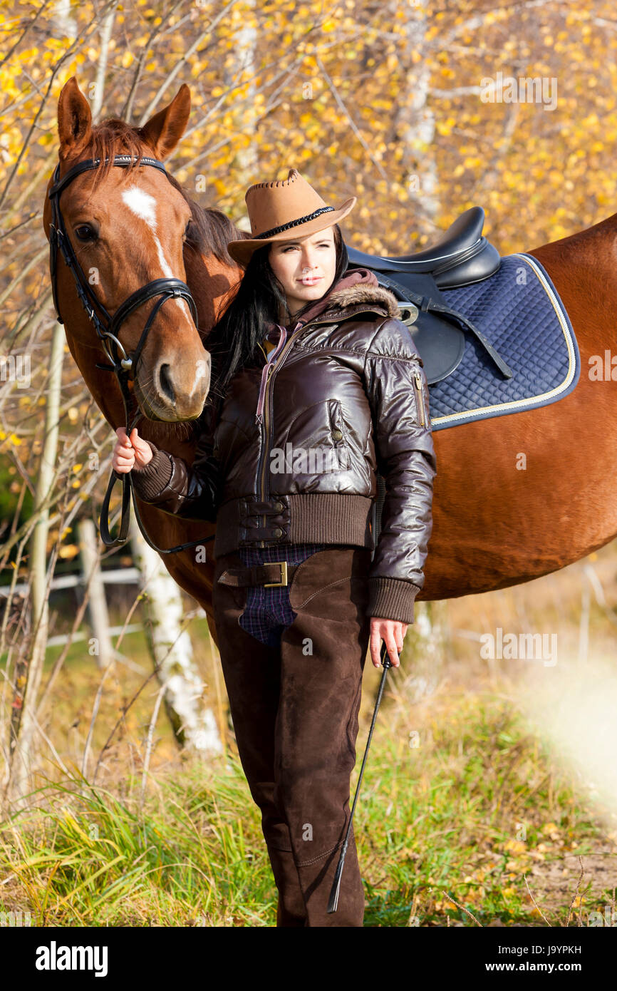 woman, horse, riding, rider, equestrian, horseriding, woman, humans ...