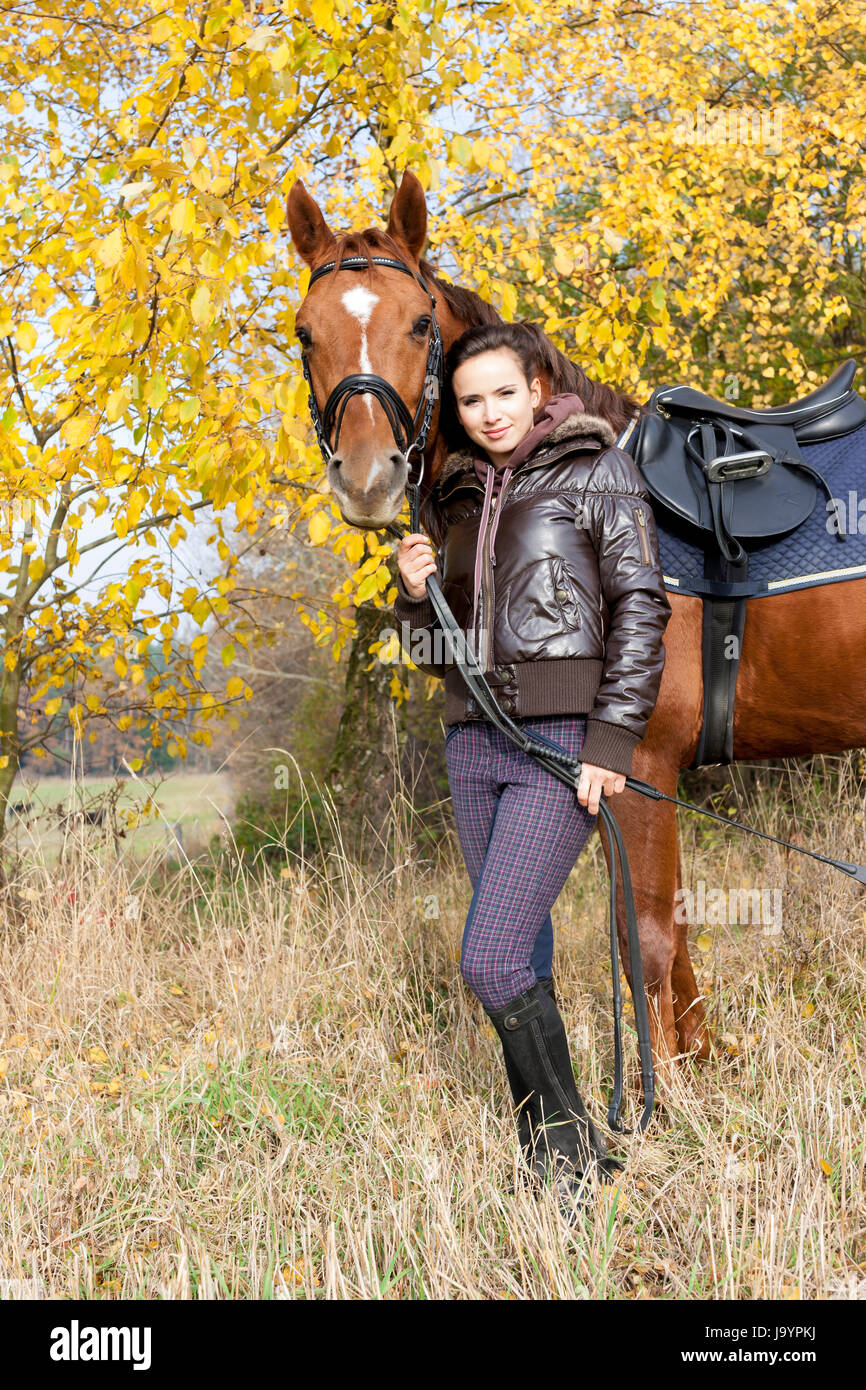 woman, horse, riding, rider, equestrian, horseriding, woman, humans ...