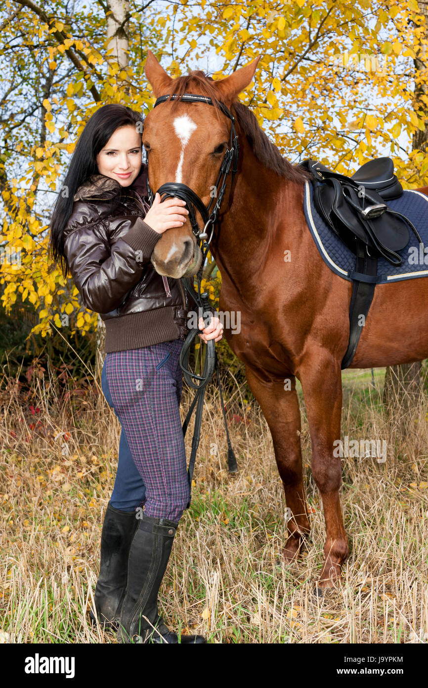 woman, horse, riding, rider, equestrian, horseriding, woman, humans ...