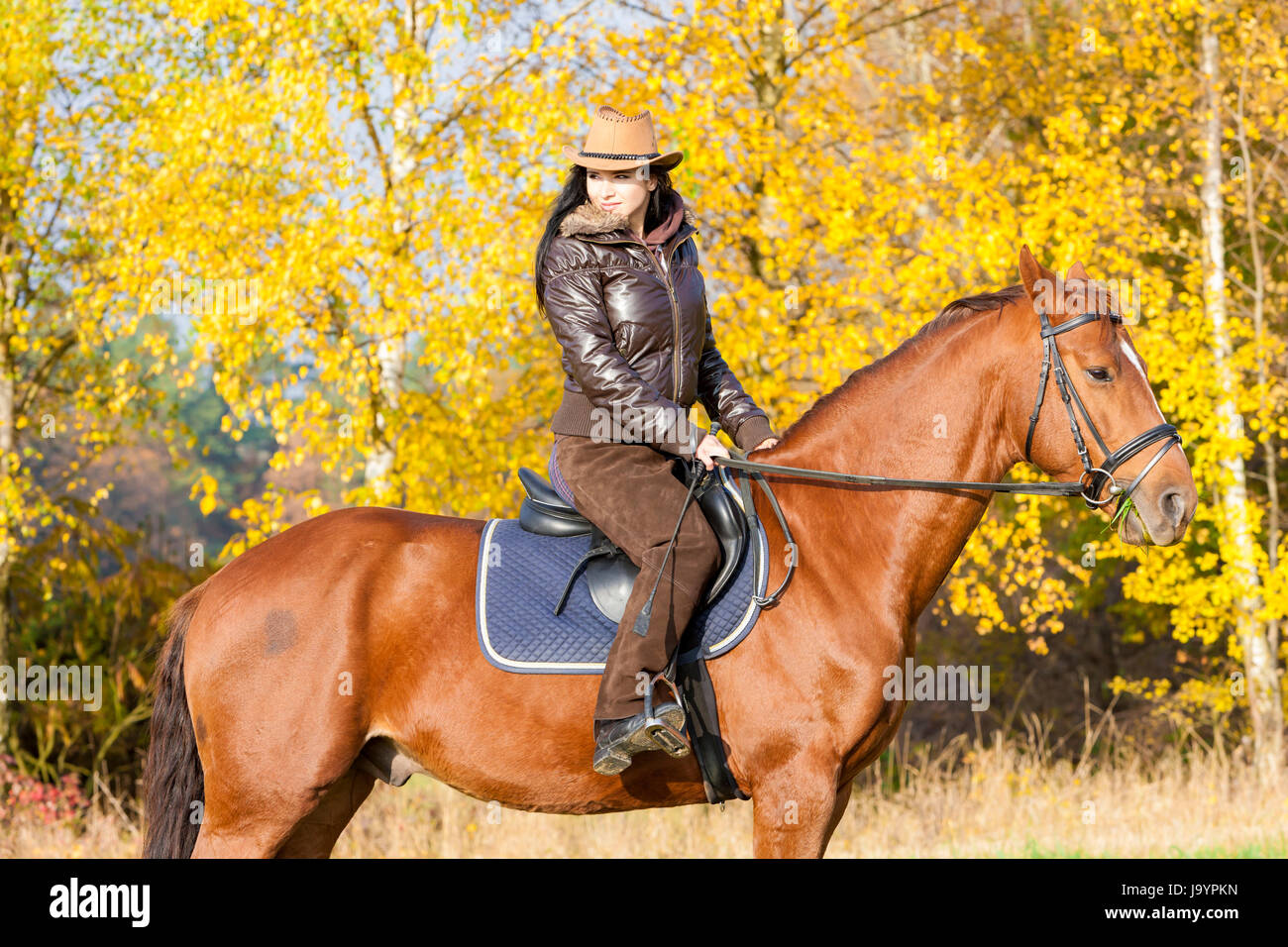 woman, horse, riding, rider, equestrian, horseriding, woman, humans ...
