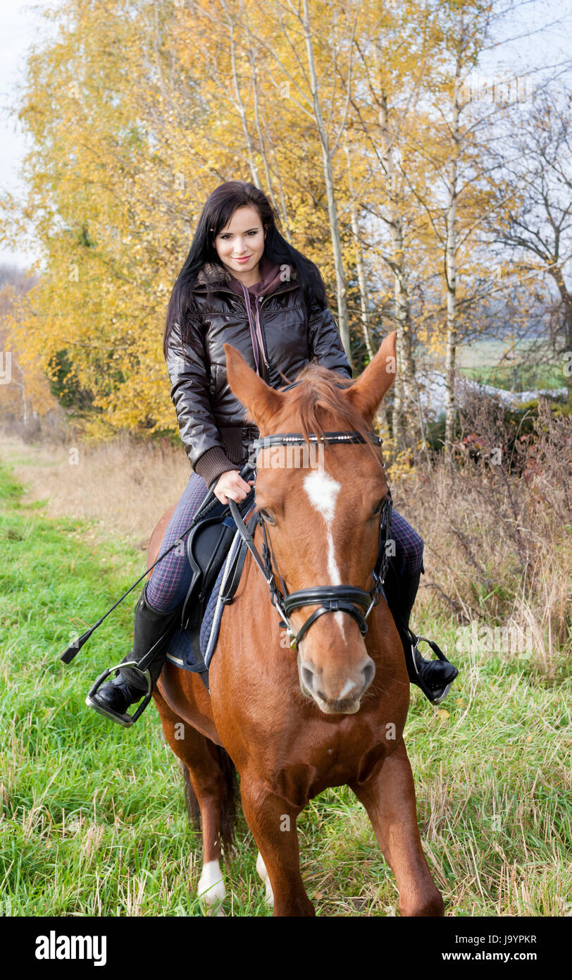 woman, horse, riding, rider, equestrian, horseriding, woman, humans ...