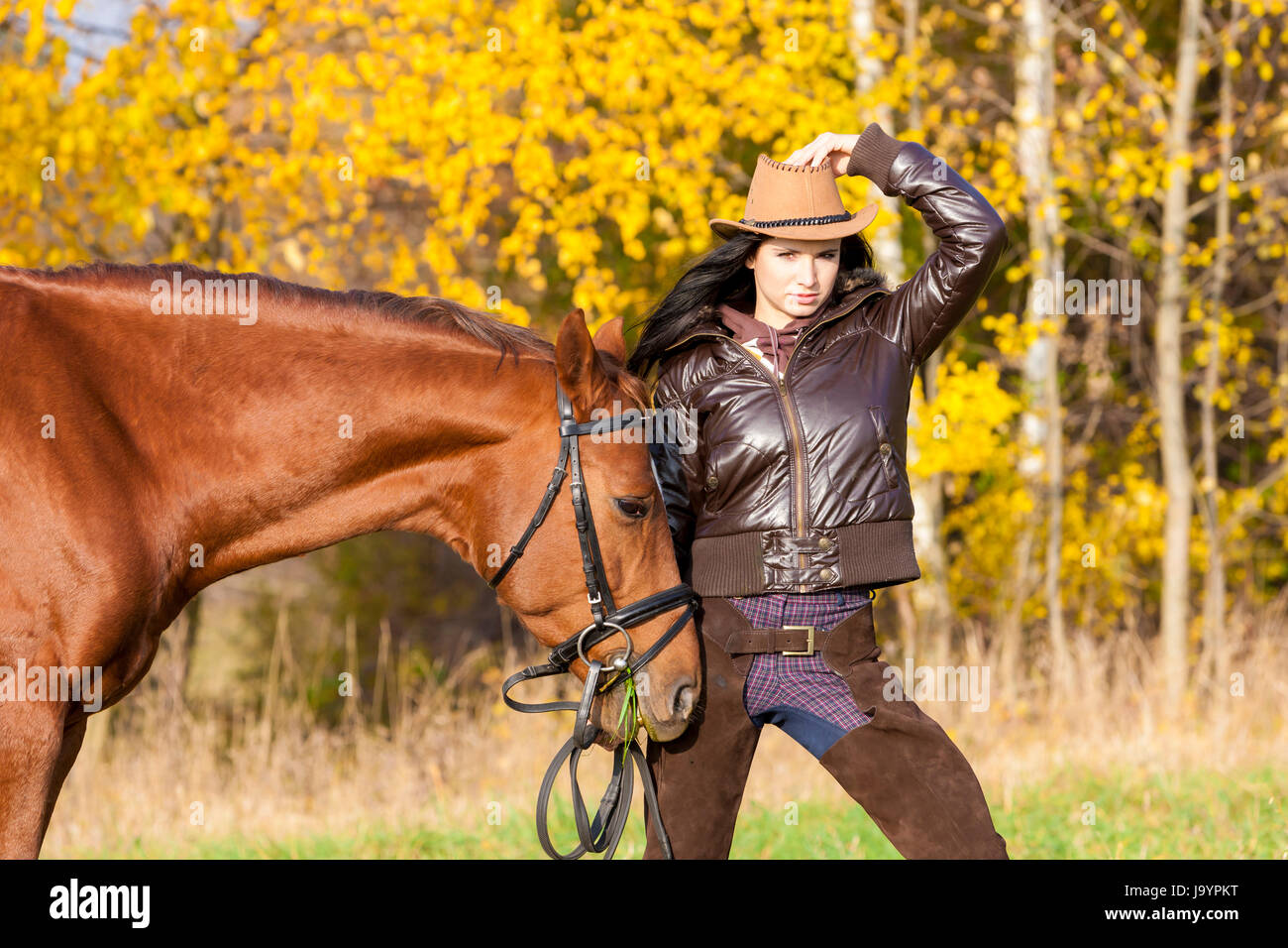 woman, horse, riding, rider, equestrian, horseriding, woman, humans ...