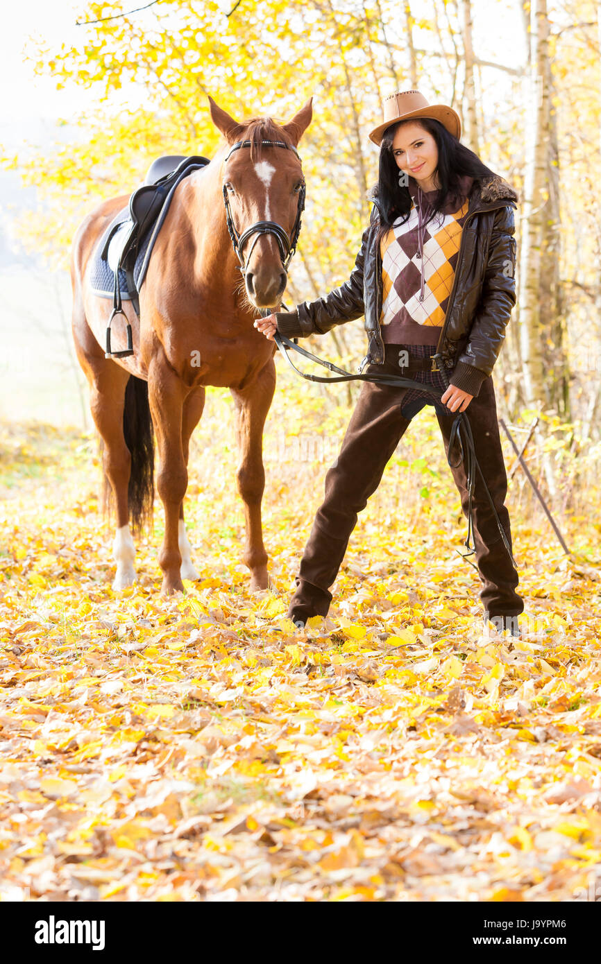 woman, horse, riding, rider, equestrian, horseriding, woman, humans ...