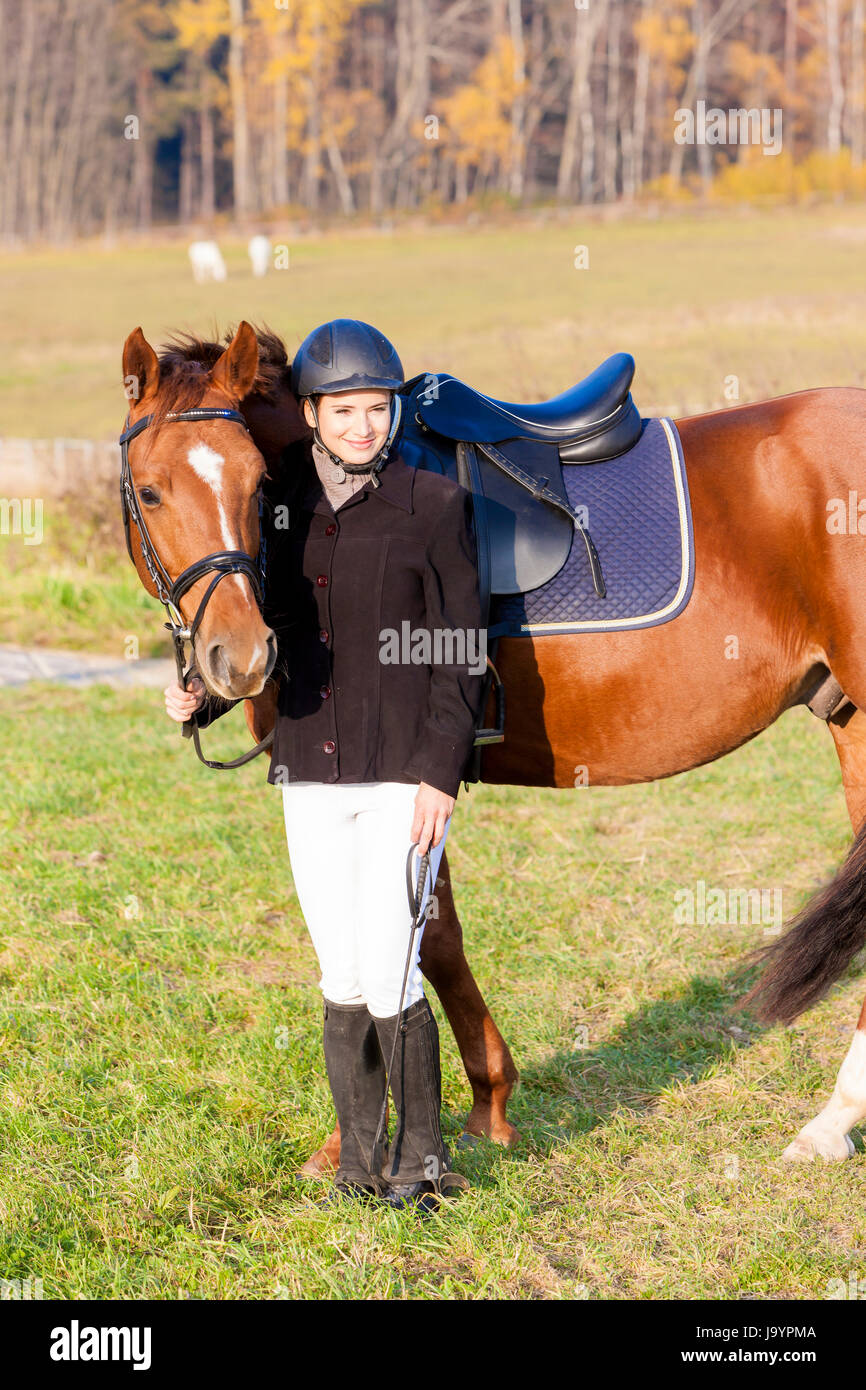 woman, horse, riding, rider, equestrian, horseriding, woman, humans ...