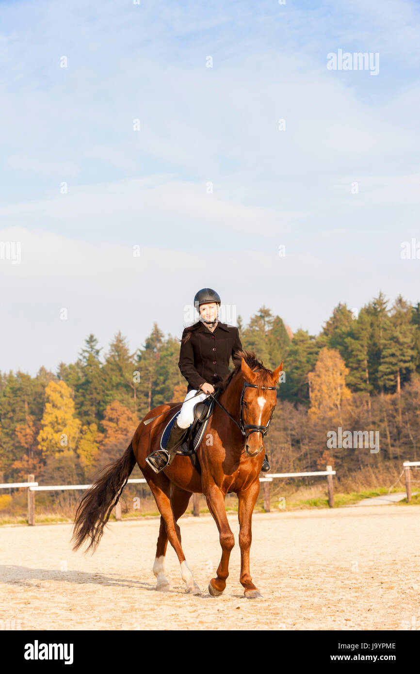 woman, horse, riding, rider, equestrian, horseriding, woman, humans ...