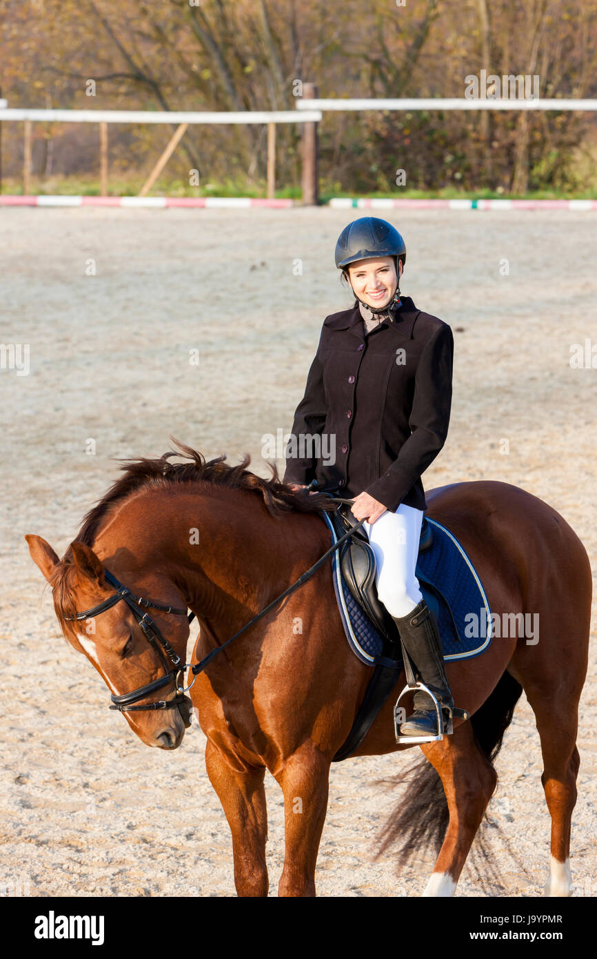 woman, horse, riding, rider, equestrian, horseriding, woman, humans ...