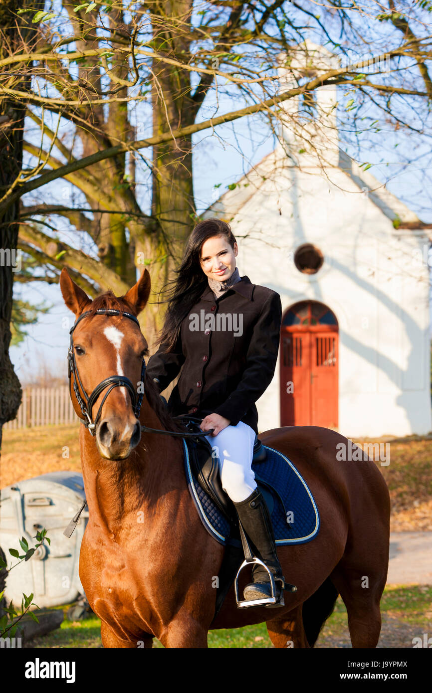 woman, horse, riding, rider, equestrian, horseriding, woman, humans ...