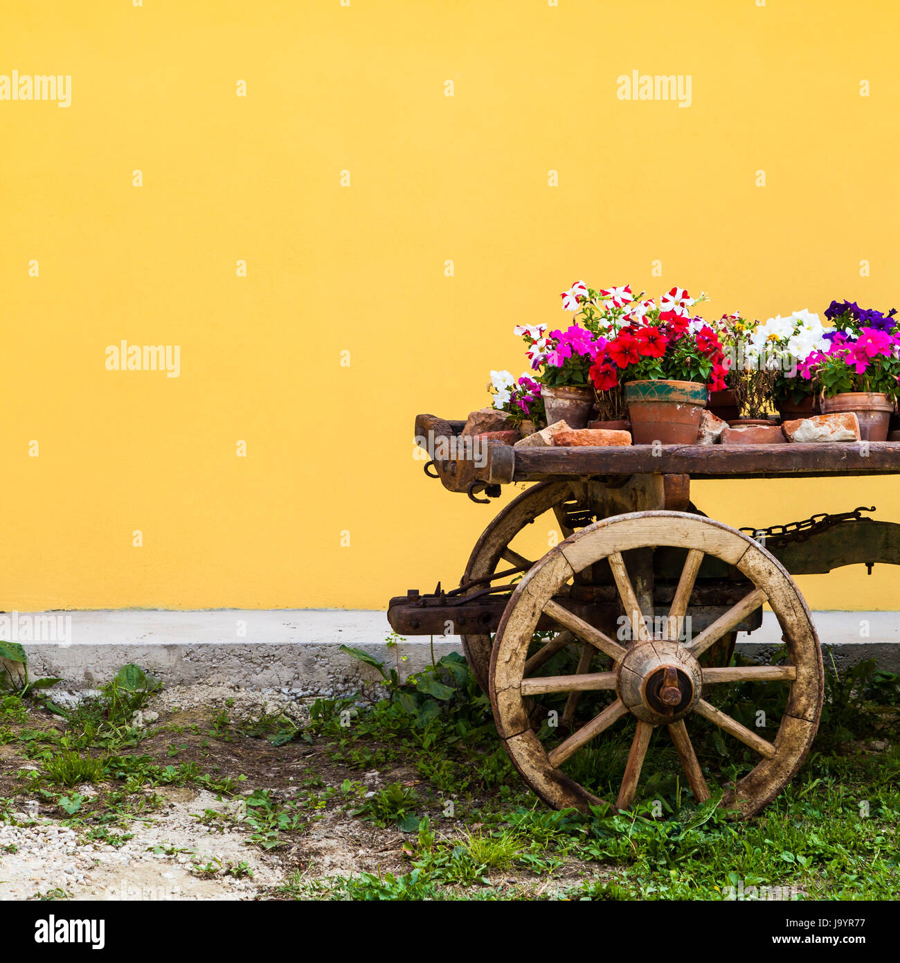 colour, model, design, project, concept, plan, draft, garden, flower ...