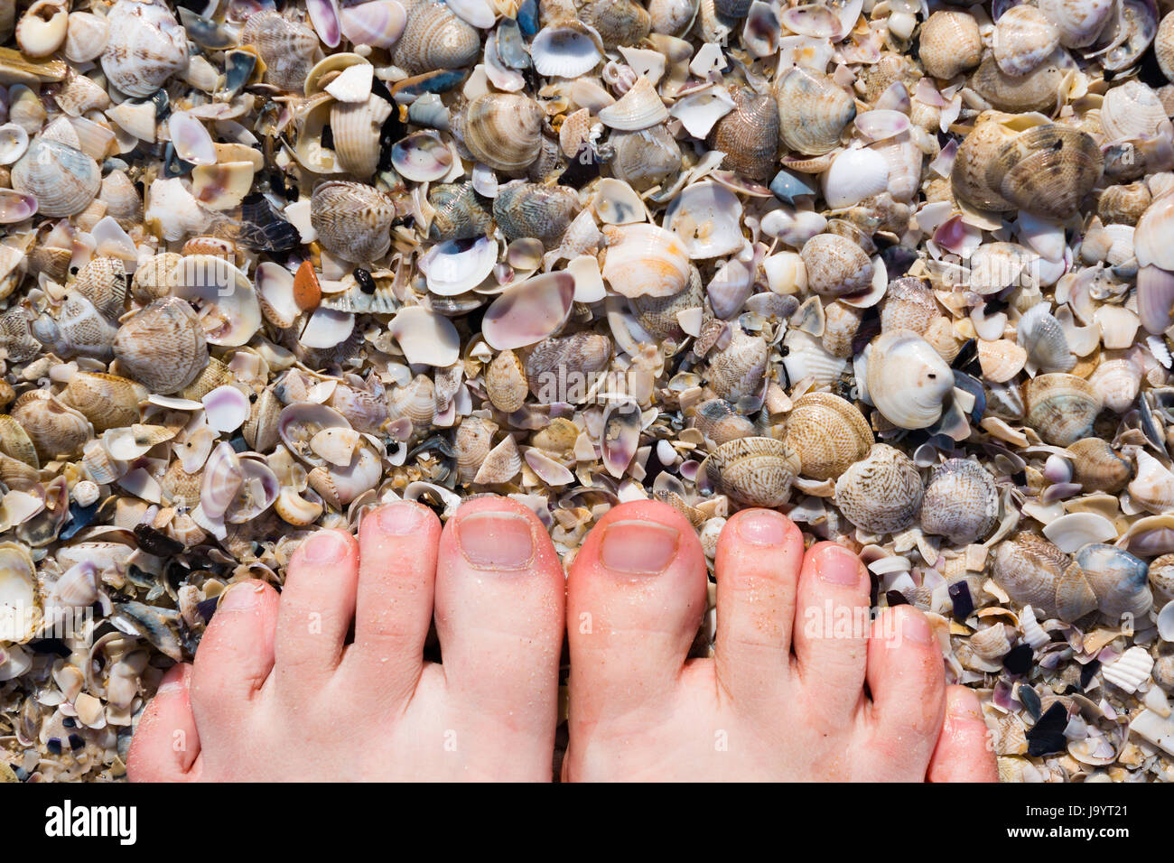Woman foot on sea shells background on the beach Stock Photo - Alamy