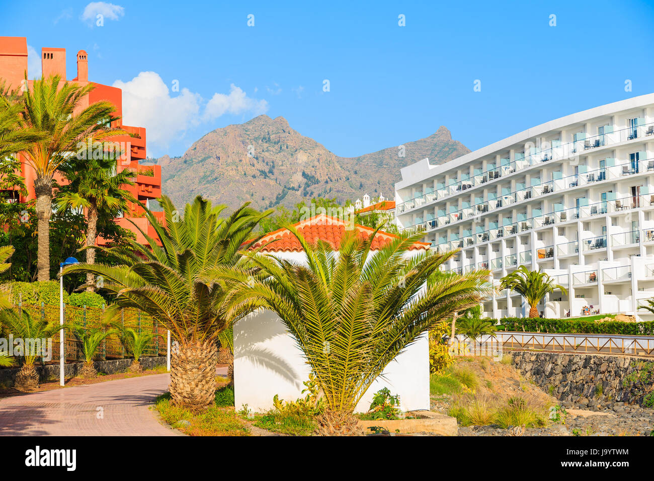 Palm trees and hotel buildings on coast of Tenerife island in Costa ...
