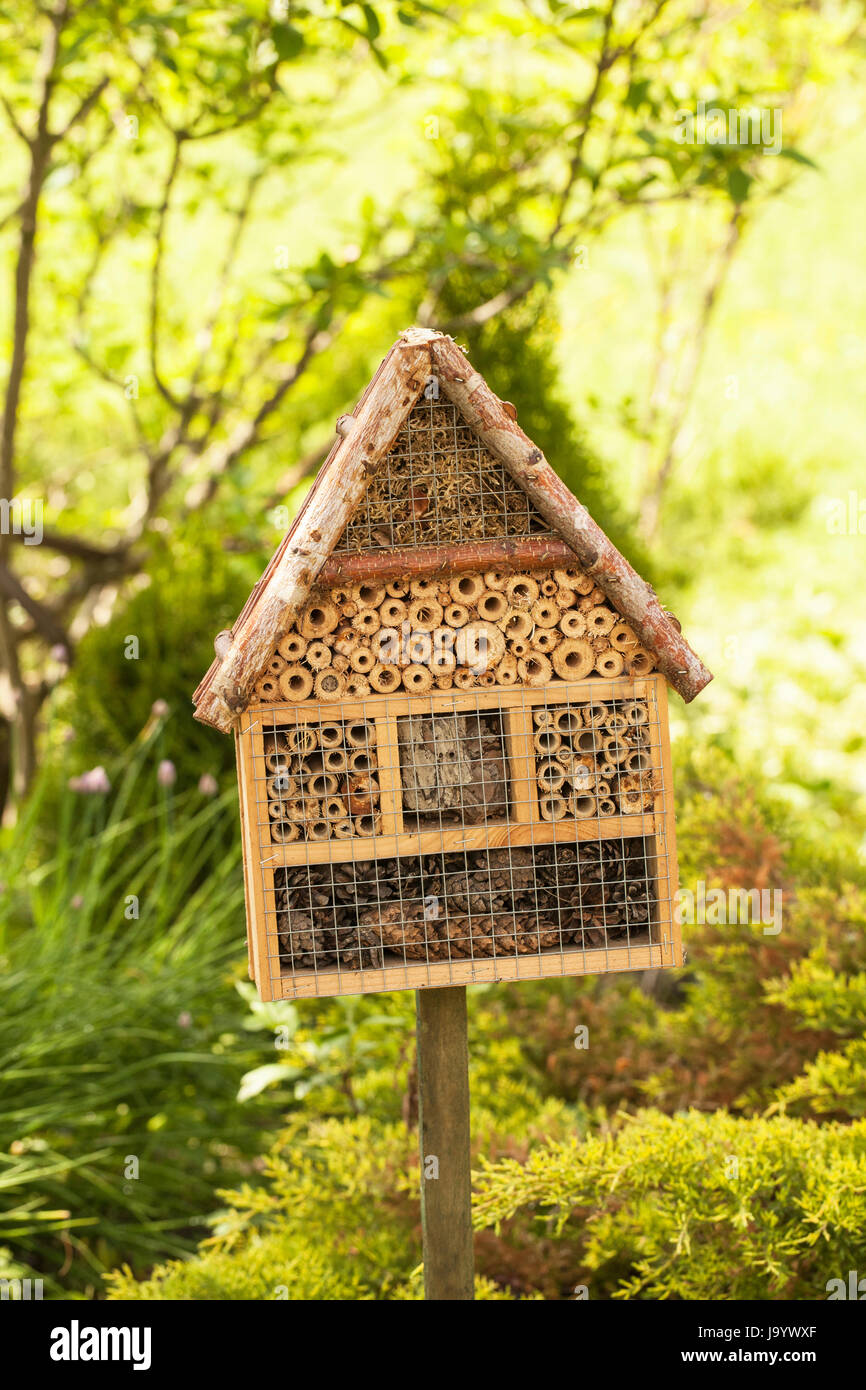 House for insect hi-res stock photography and images - Alamy