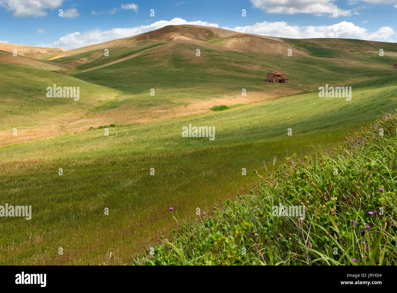 meadows, vegetation, landscape, scenery, countryside, nature, clouds ...