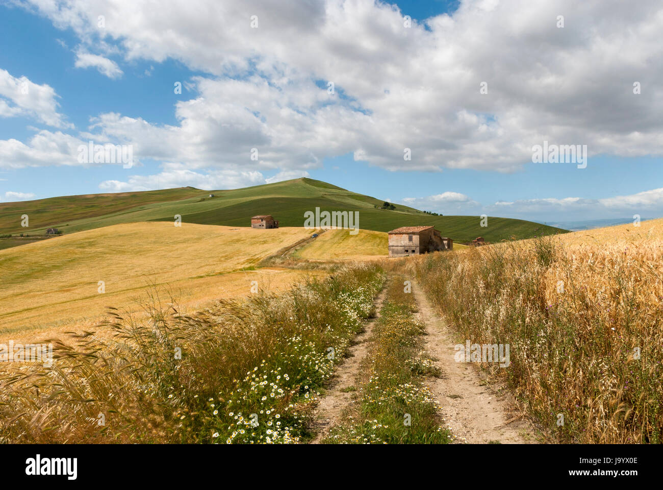 meadows, vegetation, landscape, scenery, countryside, nature, clouds ...