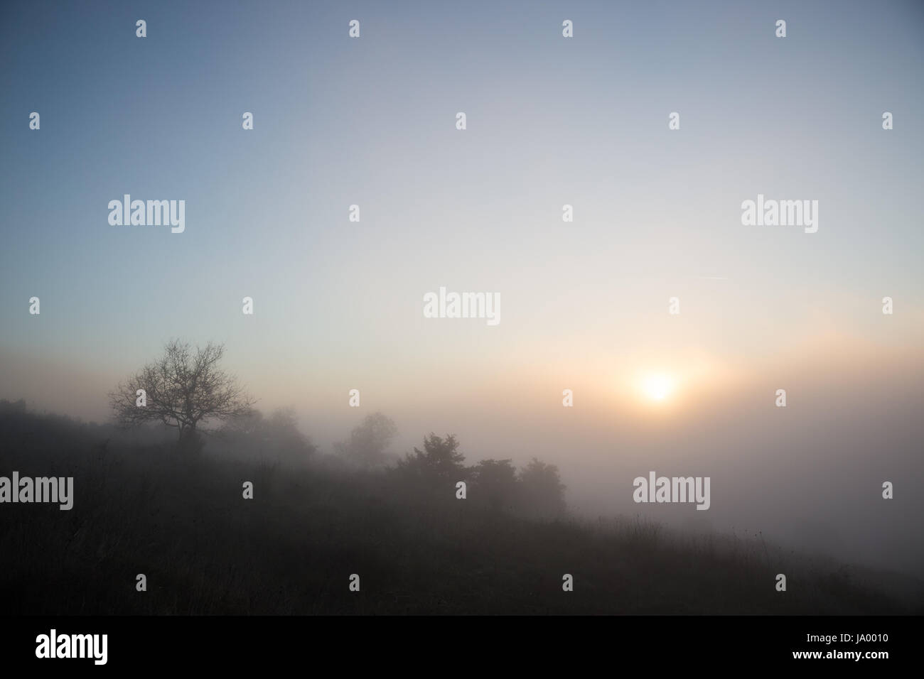 Empty fog room hi-res stock photography and images - Alamy