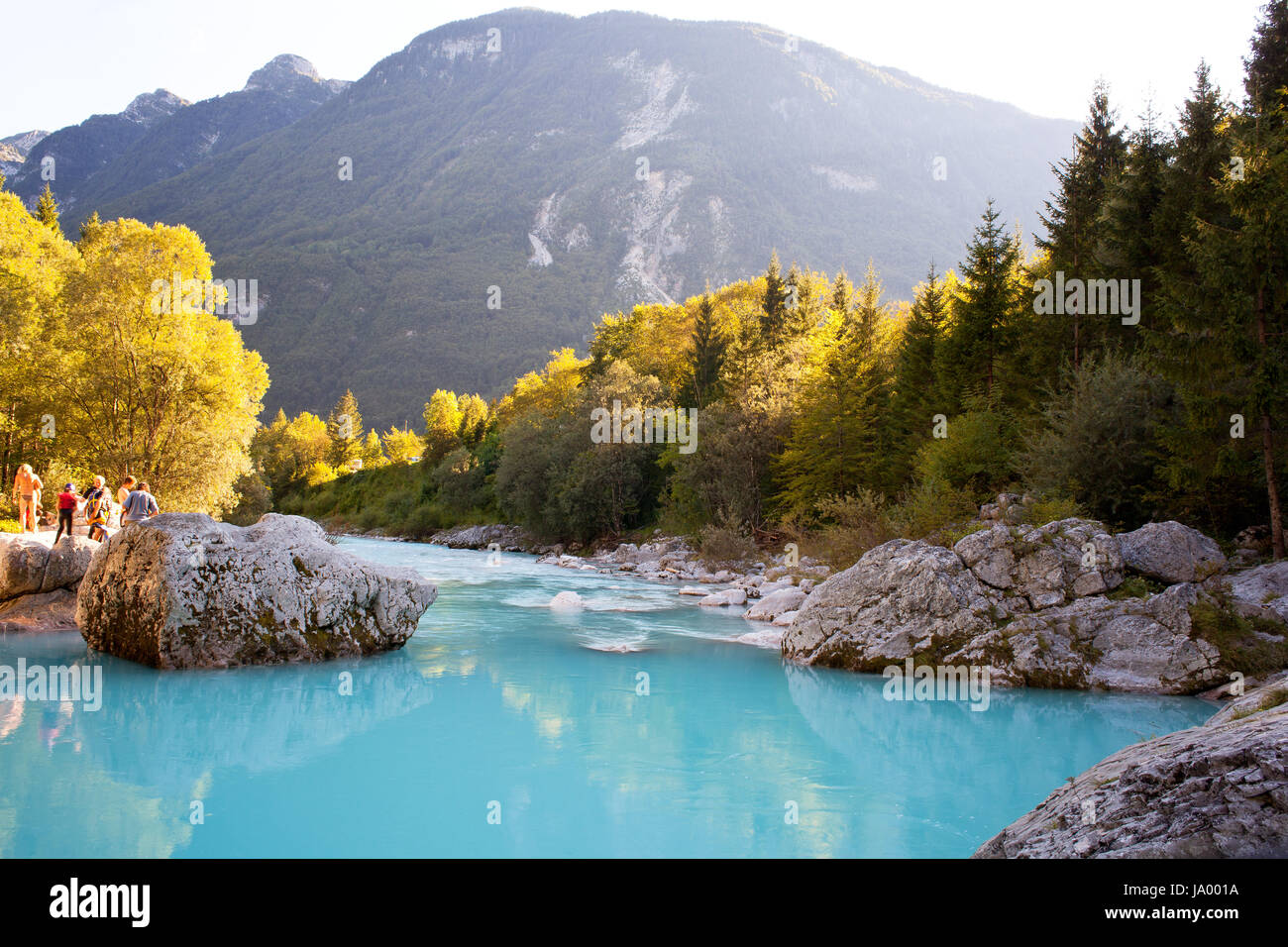 river, water, nature, travel, tree, flow, stone, wild, shine, shines ...