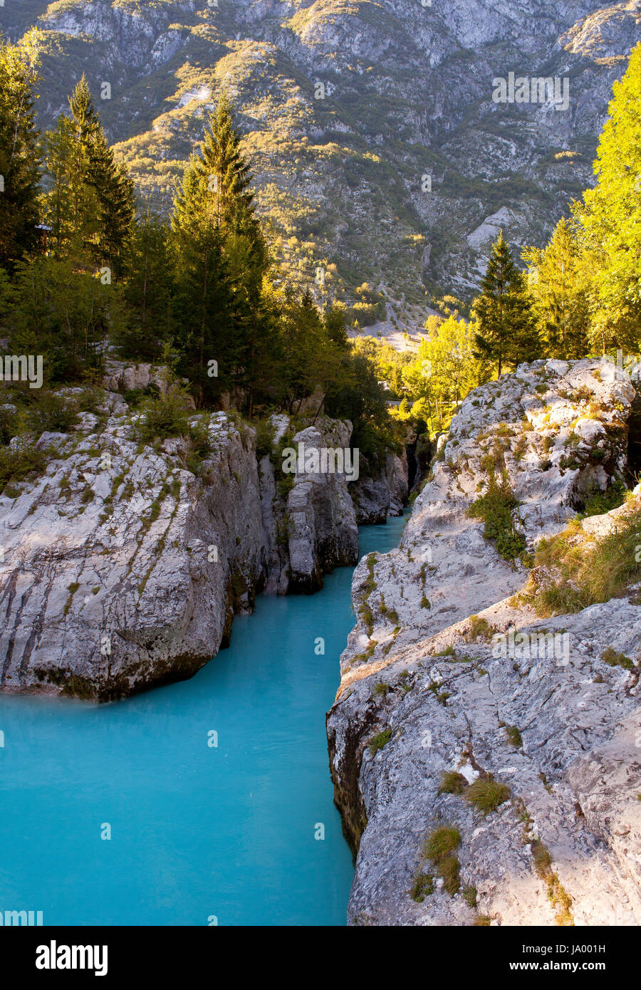 river, water, nature, travel, tree, flow, stone, wild, shine, shines ...