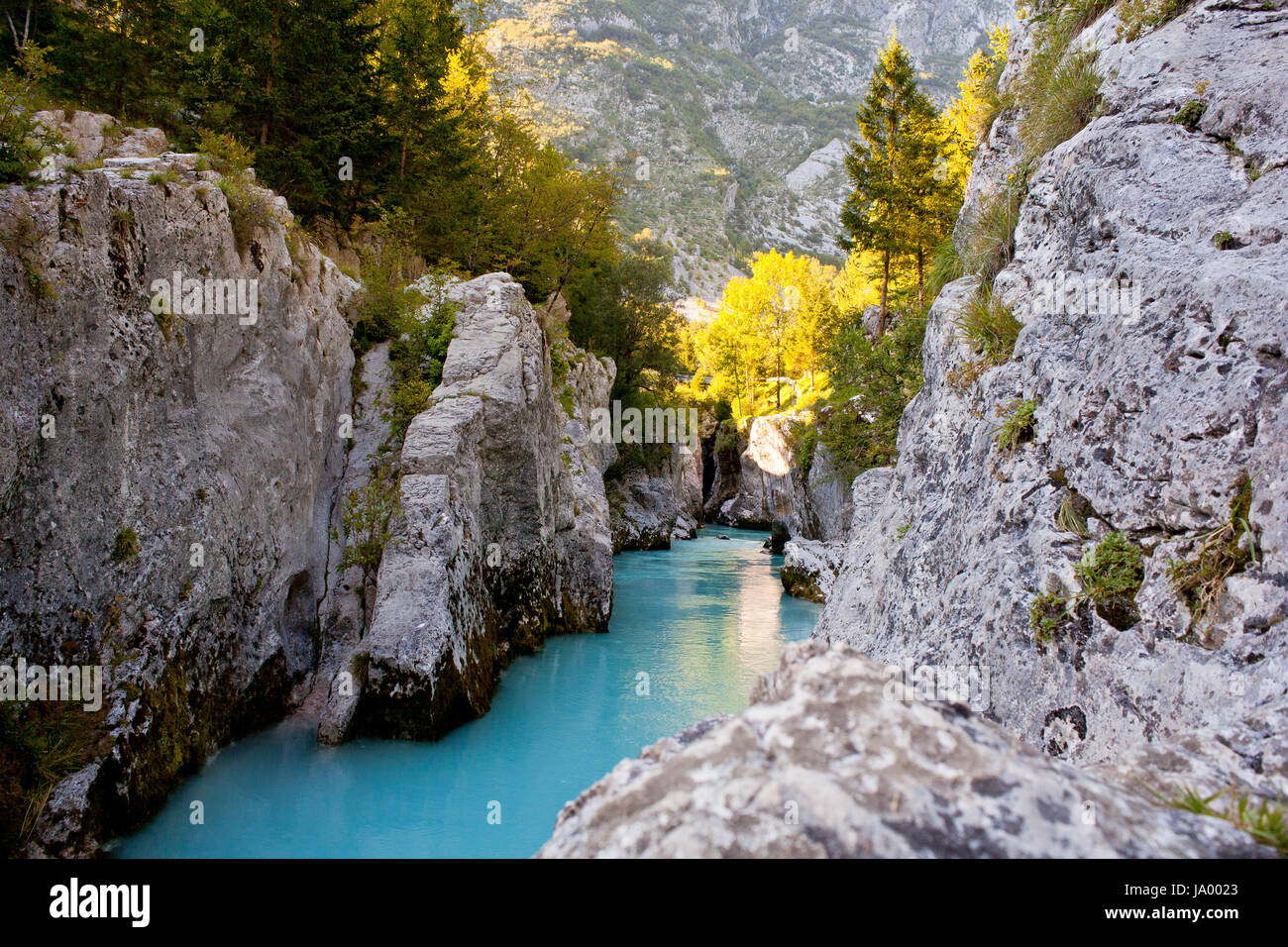 river, water, nature, travel, tree, flow, stone, wild, shine, shines ...