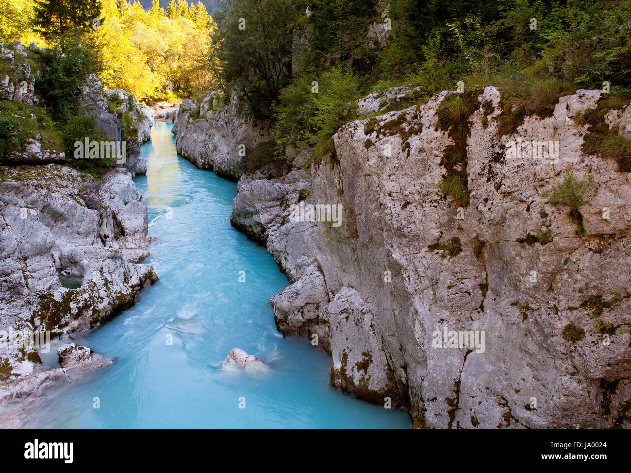 river, water, nature, travel, tree, flow, stone, wild, shine, shines ...